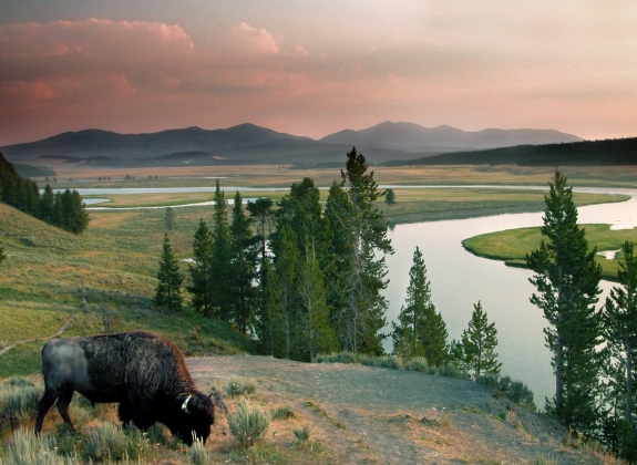 Yellowstone National Park by Rail | Amtrak Vacations®